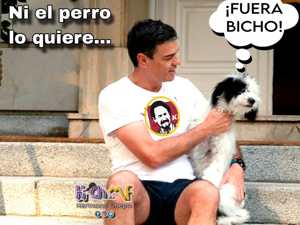 Fuera Bicho Memes Grasia Bicho