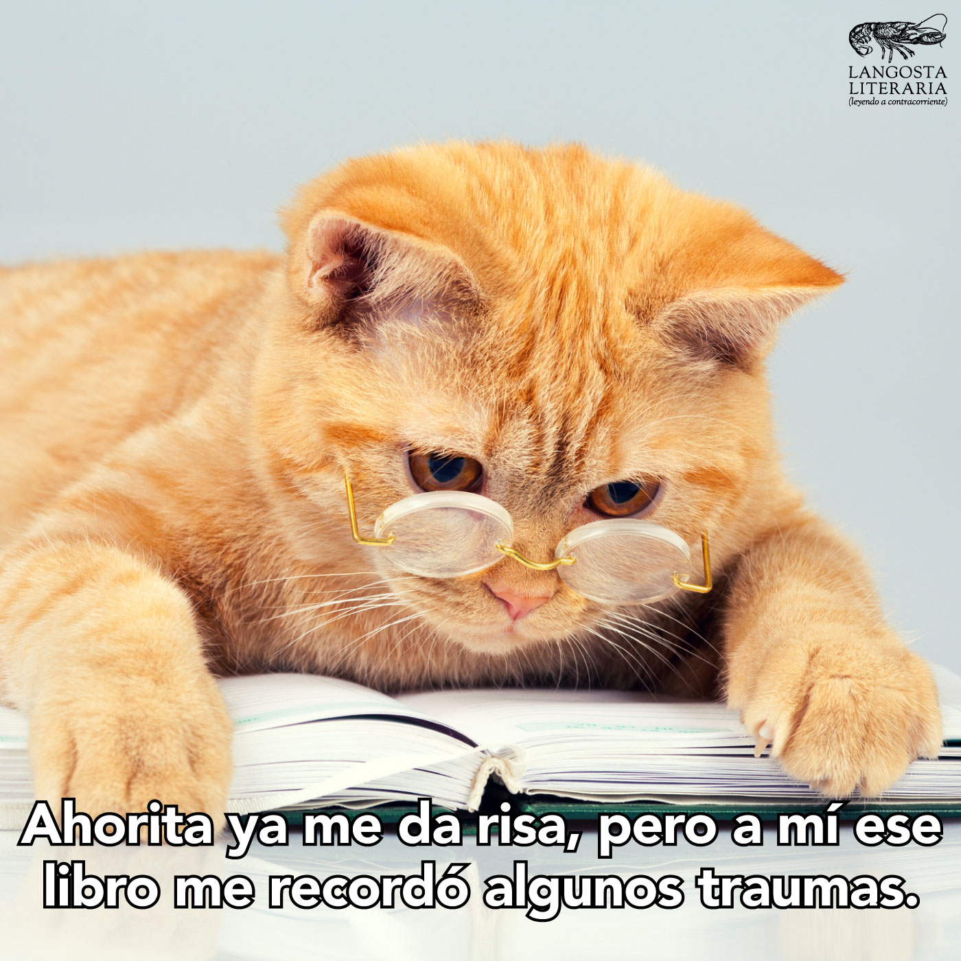 Meme De Libro Tumblr