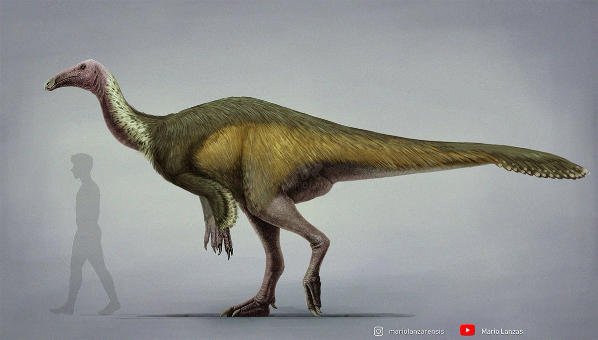 PARAXENISAURUS #paraxenisaurus #paleoart #pajarraca #mexicandeinocheirus