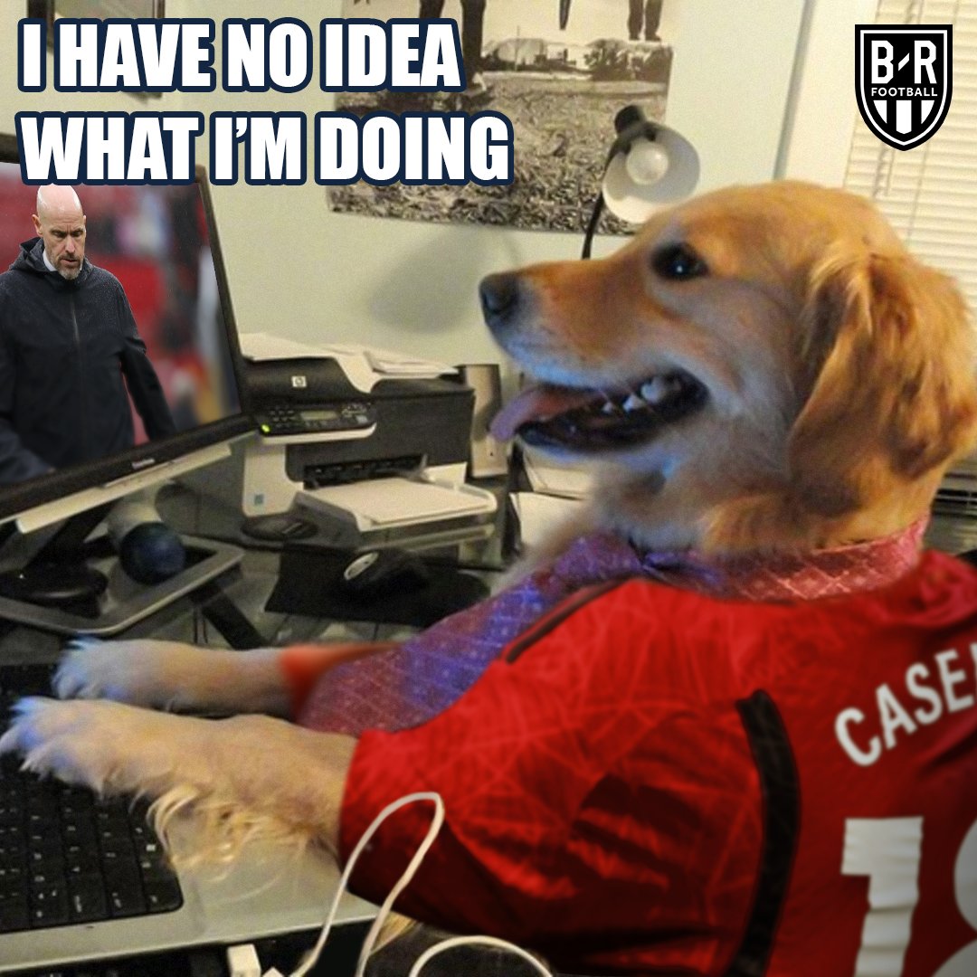 I Have No Idea What Im Doing Dog Computer