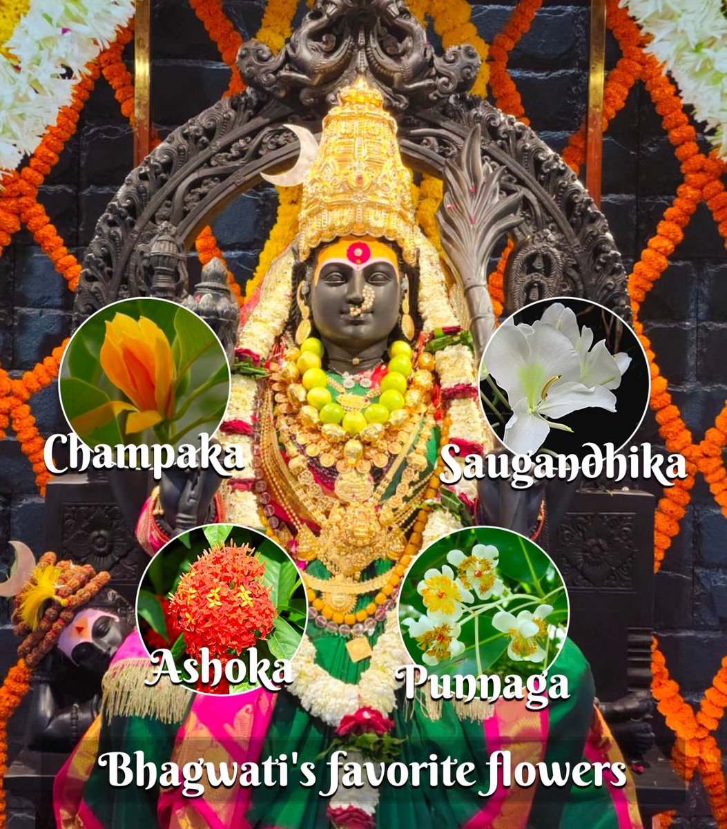 Vishwamohini Devasthan (@vishwamohinimaa) / Posts / X