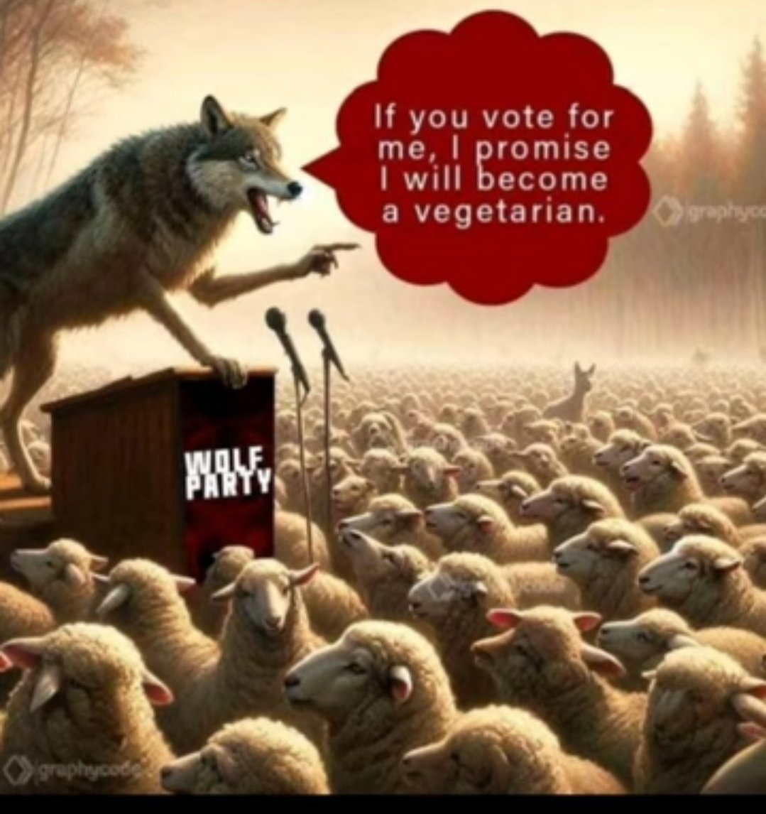 Political Sheep Memes Amazon.com: Power To The Sheeple Funny Political