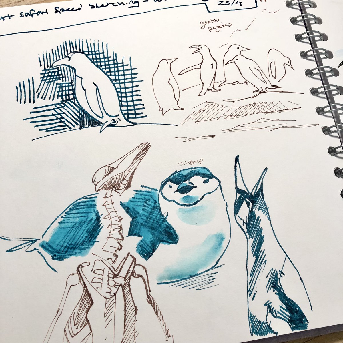 「the blob animals of all time 」Finchの漫画