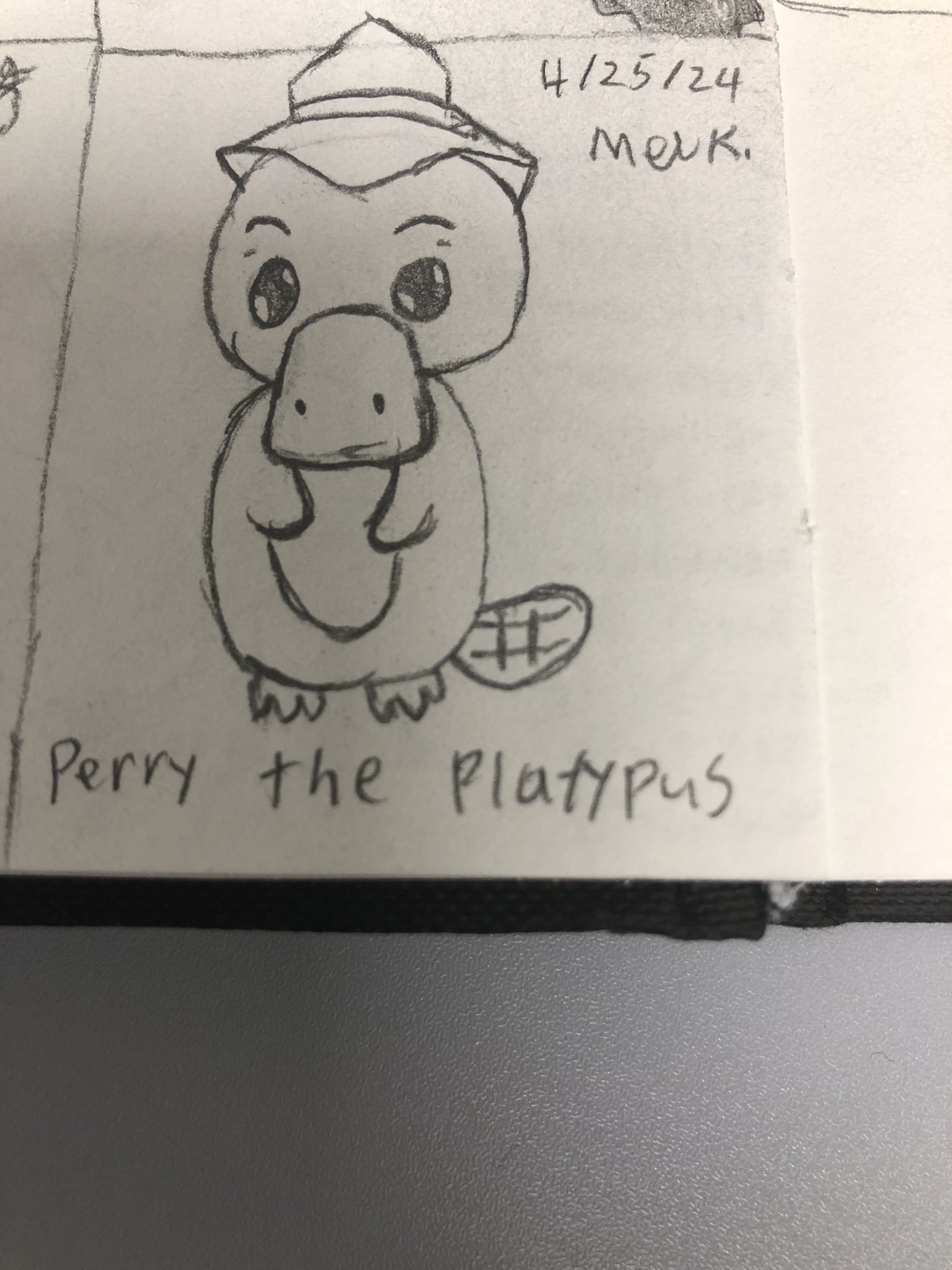 Cute Baby Perry The Platypus Baby Perry The Platypus, Baby Phineas,