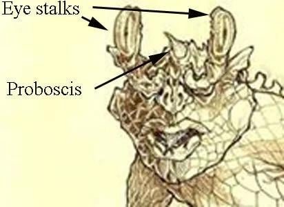 Vril Lizard Flying Towards The Future: Using Drones To Detect Lizards