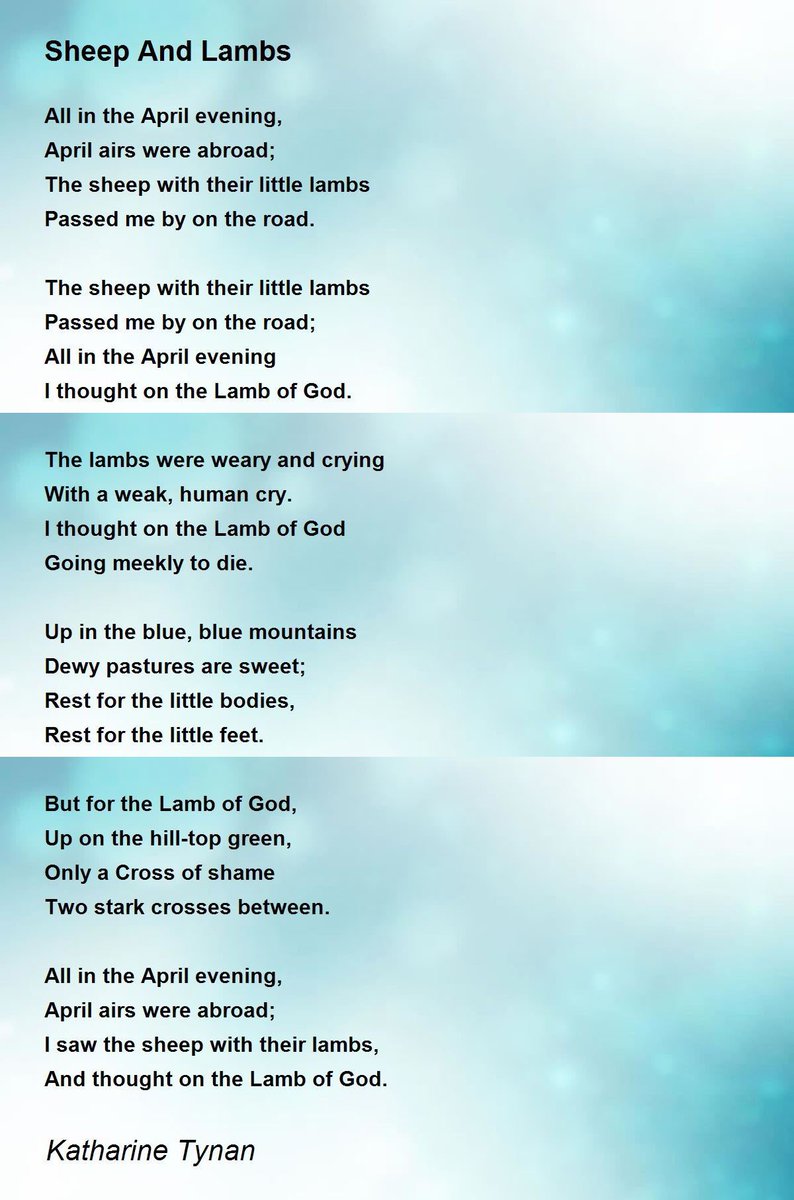 Holy Child School, Ballycane (Parish Primary) – Naas, Sallins & Two ...