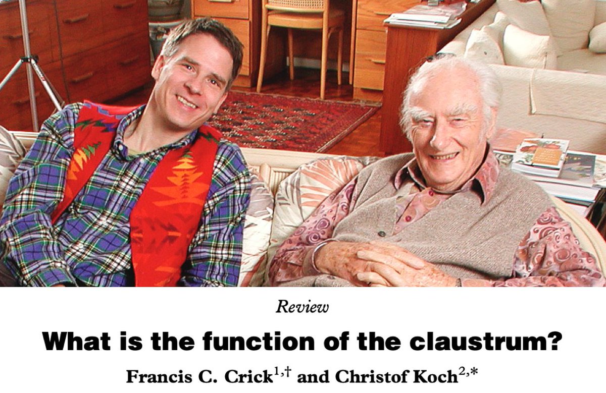 Does human consciousness rely on this tiny wisp of gray matter ...