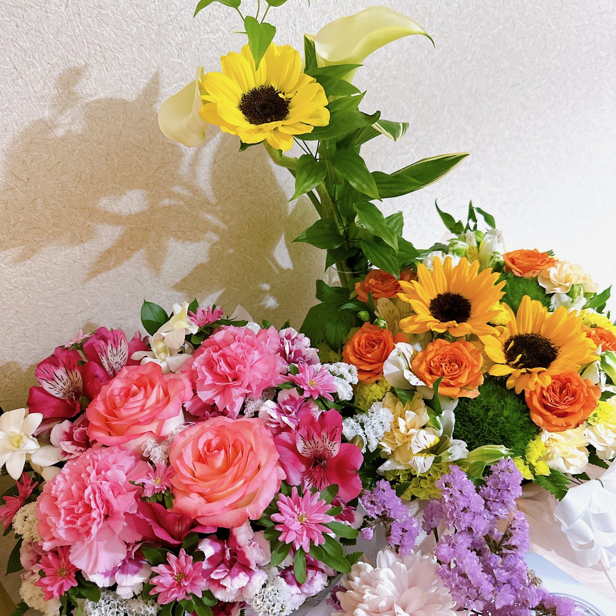 みねりお/Mine Rio(@mine_riorio) さんの裏垢画像・動画 – 裏垢女子ランキングナビ