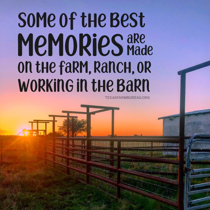 Ranch Work Quotes