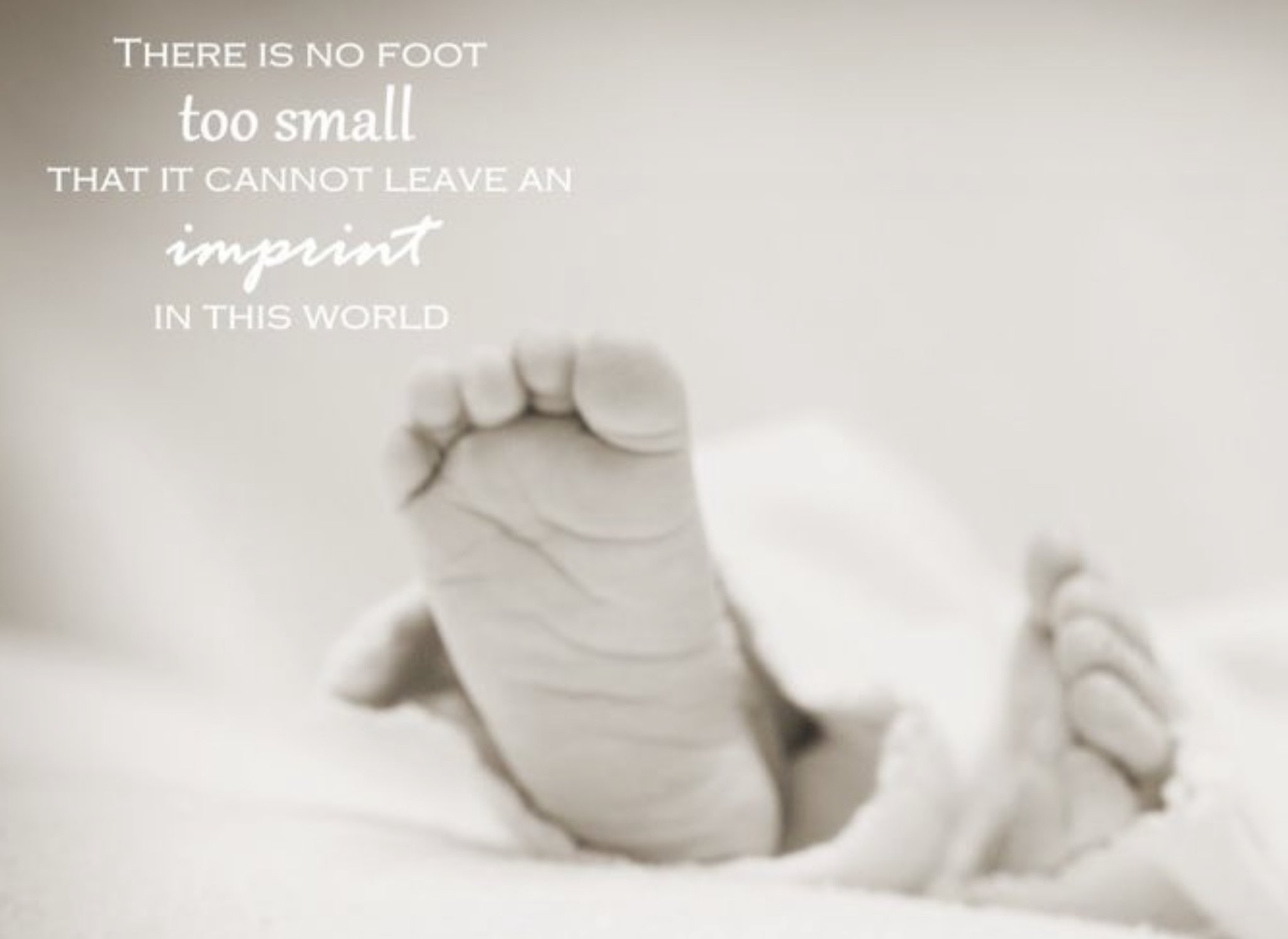 Short Footstep Quotes In Your Footsteps Personalized Greeting Cards
