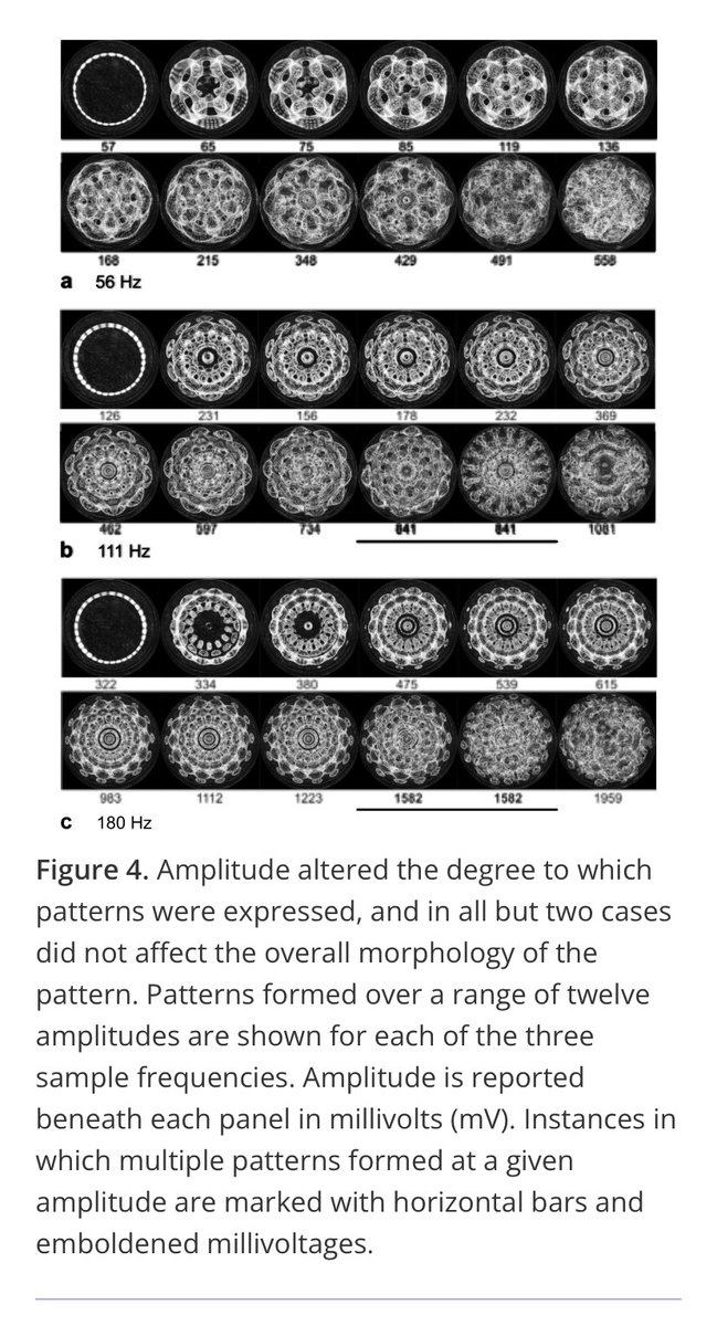 Cymatic Closeups, concentrating on the heart 💜 - Thread from JenOakie42 ...