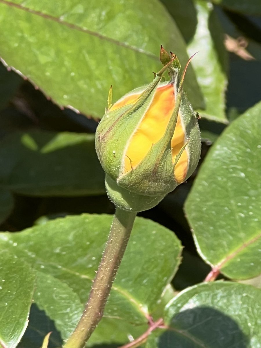 蒲地 輝尚(@tkmc) - Twilog (ツイログ)