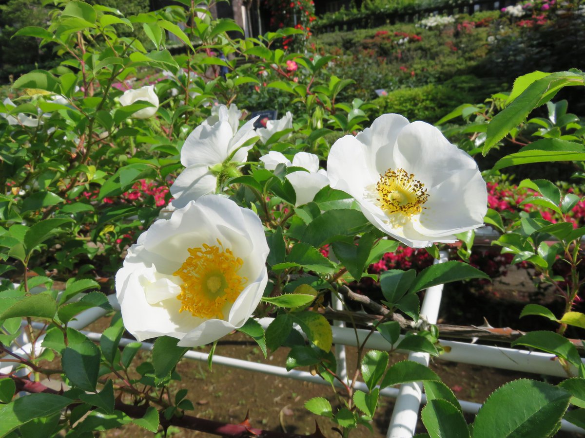 蒲地 輝尚(@tkmc) - Twilog (ツイログ)