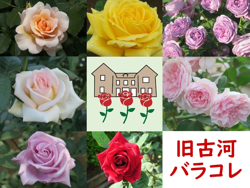 蒲地 輝尚(@tkmc) - Twilog (ツイログ)