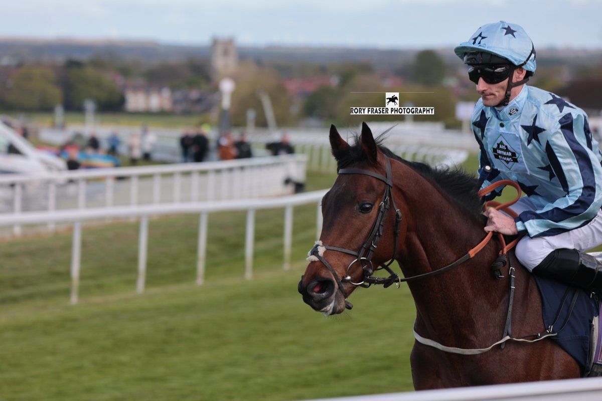 David O'Meara Racing | Racehorse Trainer in York | Get your heart racing!