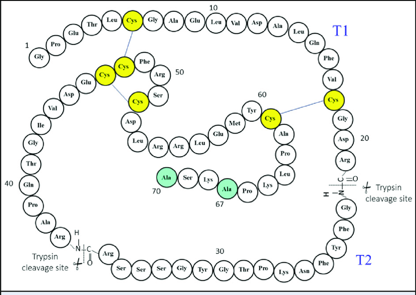 GROW TALLER and STRONGER ULTIMATE IGF-1 THREAD🧵 - Thread from 🎭 ...