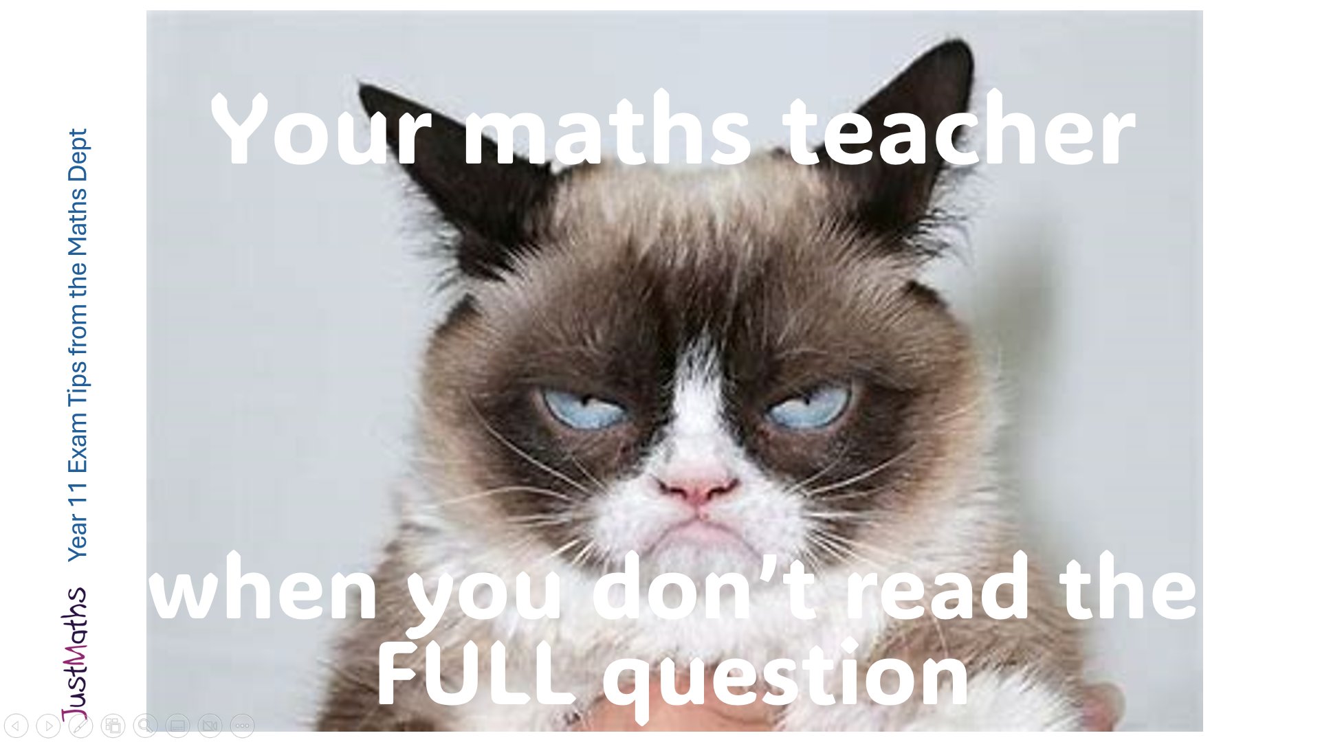 Grumpy Cat School Meme Grumpy Cat 2024 Wall Calendar – Chronicle