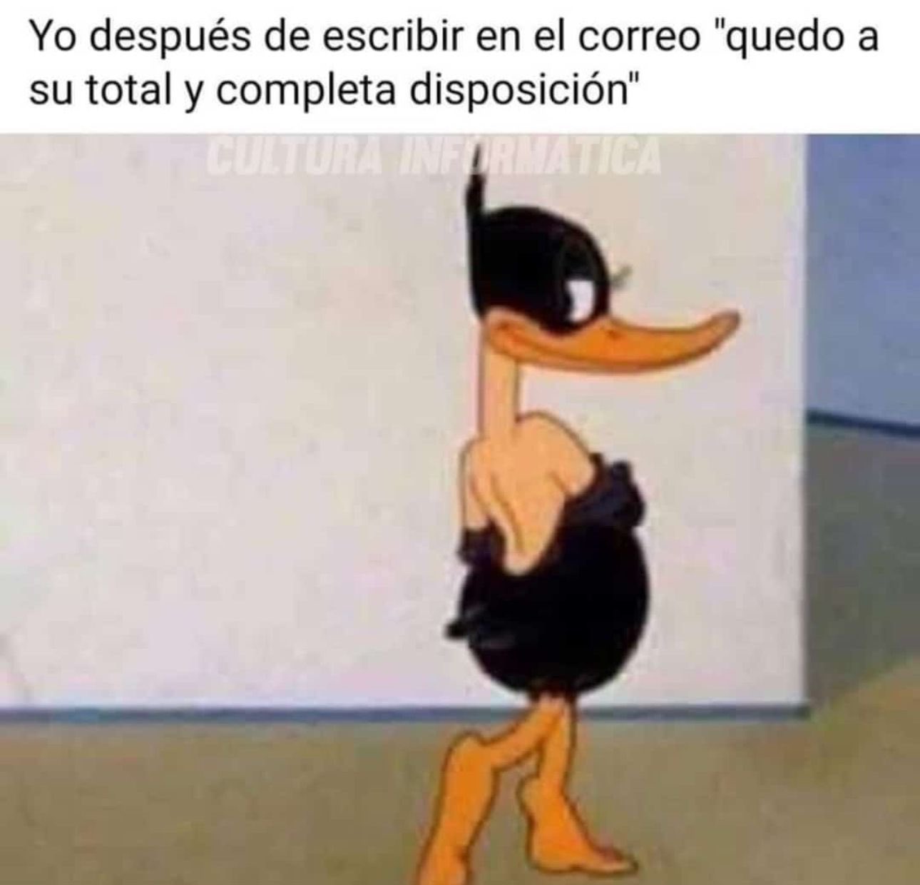 Memes Com Pato 10+ Free Pato & Duck Animated GIFs And Stickers