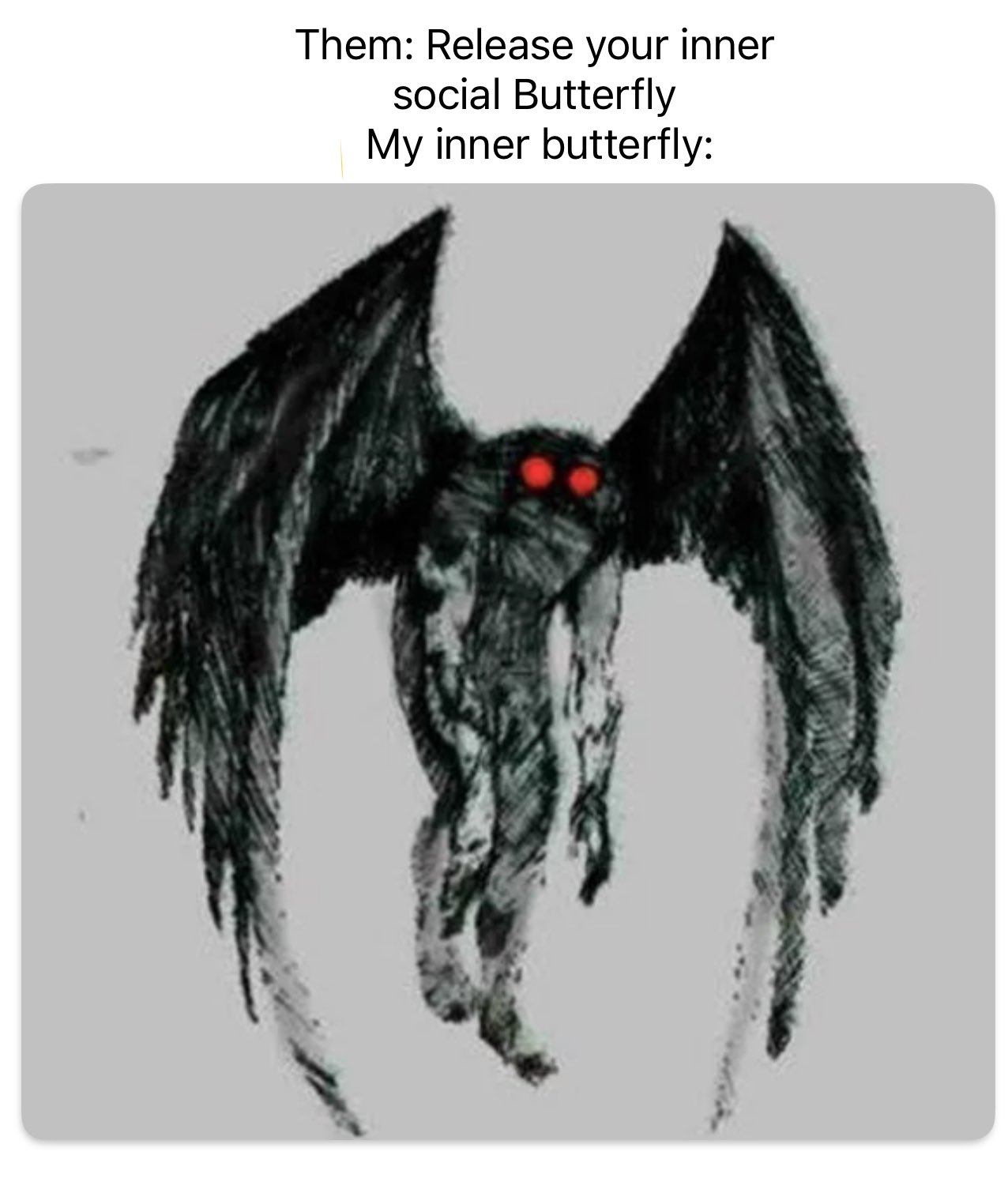 Social Butterfly Memes