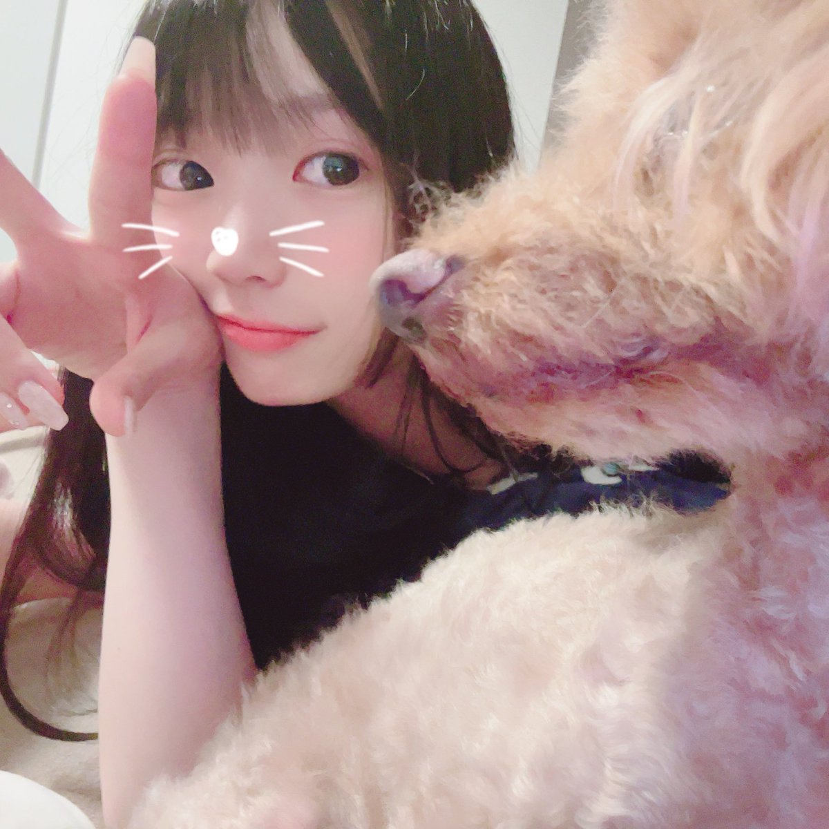 百田汐里のSNS(ブログ / X) | WEBザテレビジョン