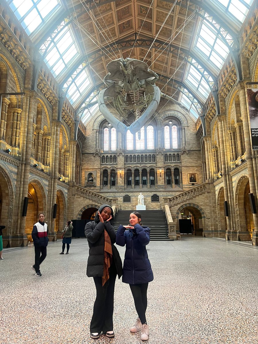 Phoenix Academy - Home