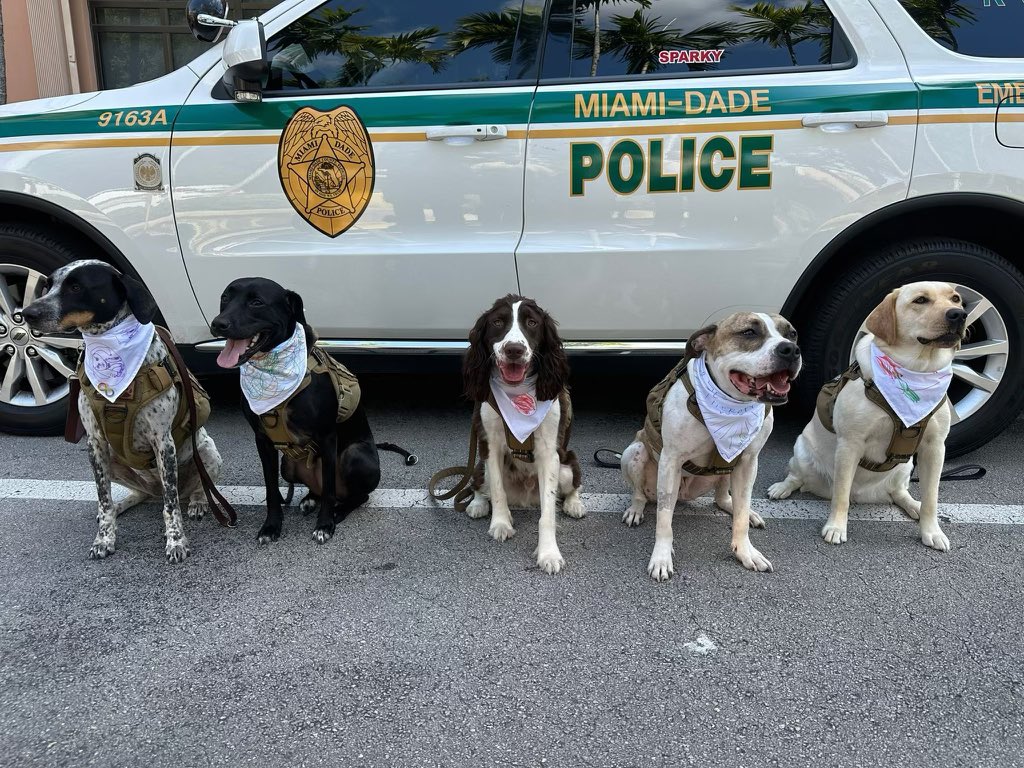 Miami Dade Police Department K9