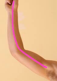 Arin Aristia's Threads – Thread Reader App