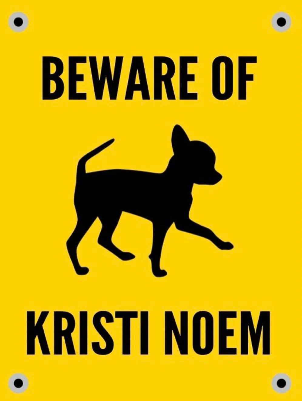 Noem Me Meme What Just Happened With $TRUMP And $MELANIA Meme Coins?