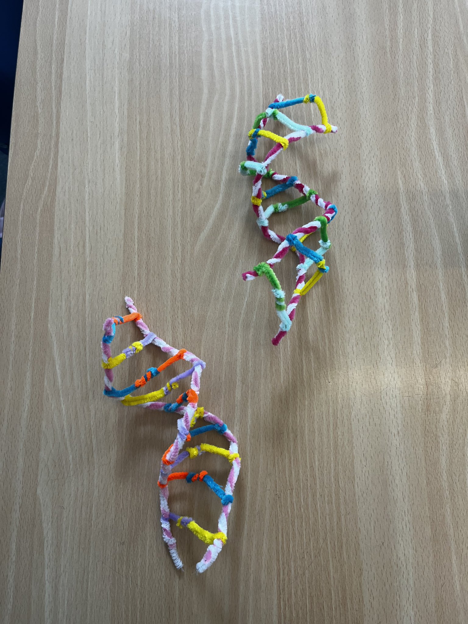 Pipe Cleaners Dna Model