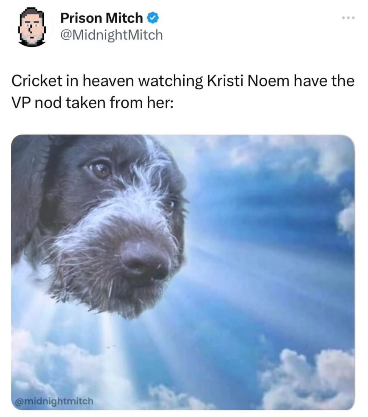 Kristi Memes Buy Sarcastic Kristi Mug Kristi Definition Mug Funny