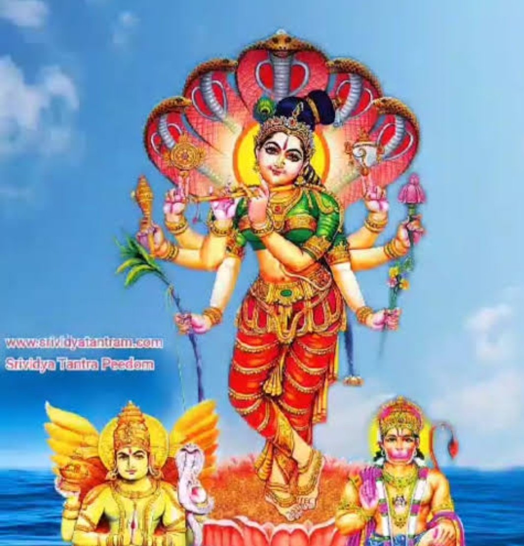 🪷 VISHNU IN SHAKTA DHARMA 🪷 Sri Vishnu is one of the most reverred ...