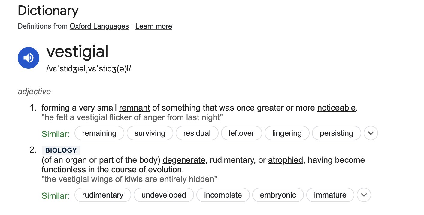 Vestigial Definition What Is The Difference Between Homologous