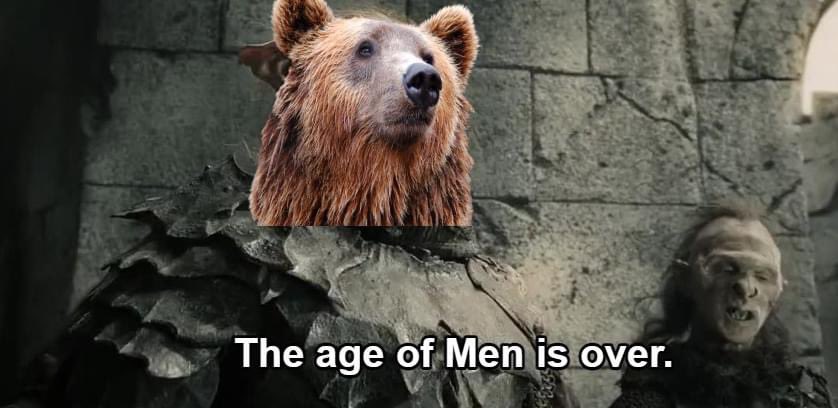 Leonardo Bear Oscar Memes 10 Hilarious Memes Of Leonardo DiCaprio