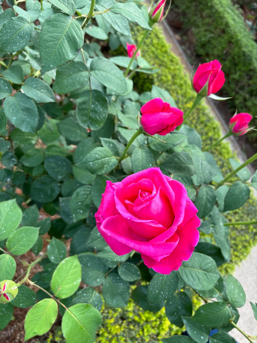 蒲地 輝尚(@tkmc) - Twilog (ツイログ)