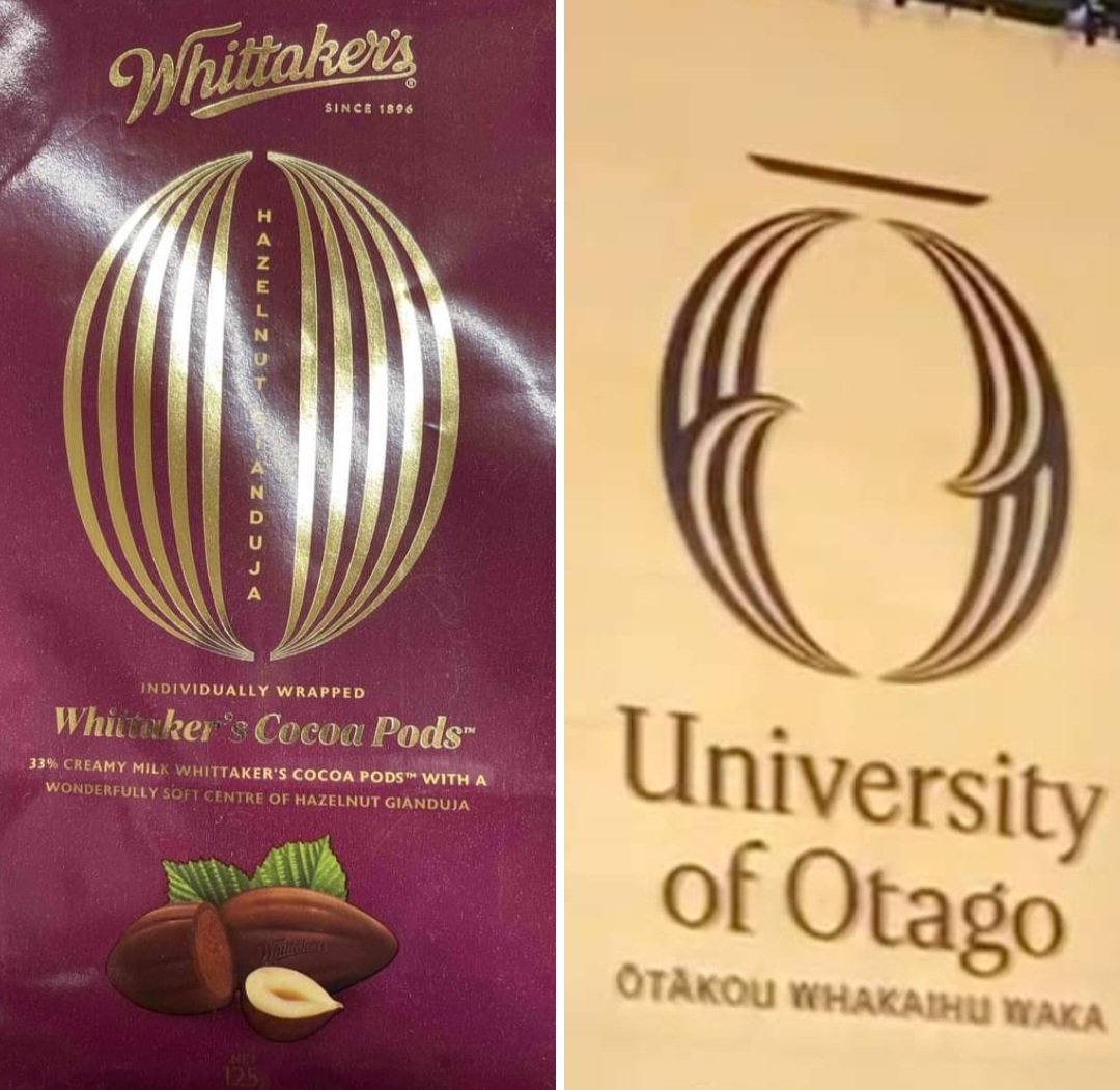 Otago Logo Otago Flying Start – MedView New Zealand