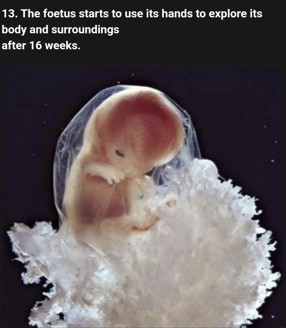 This Lennart Nilsson. He was a Swedish photographer who photographed ...