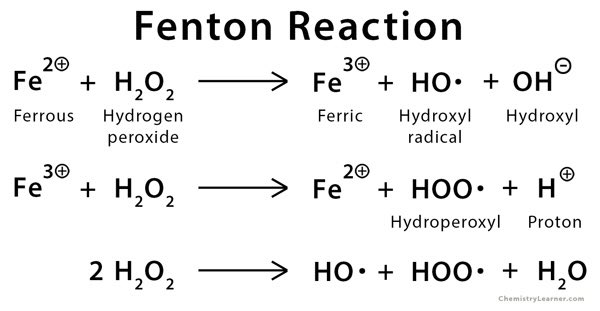 Let's talk about REDOX Sadly, the chemistry term "redox" has become a ...
