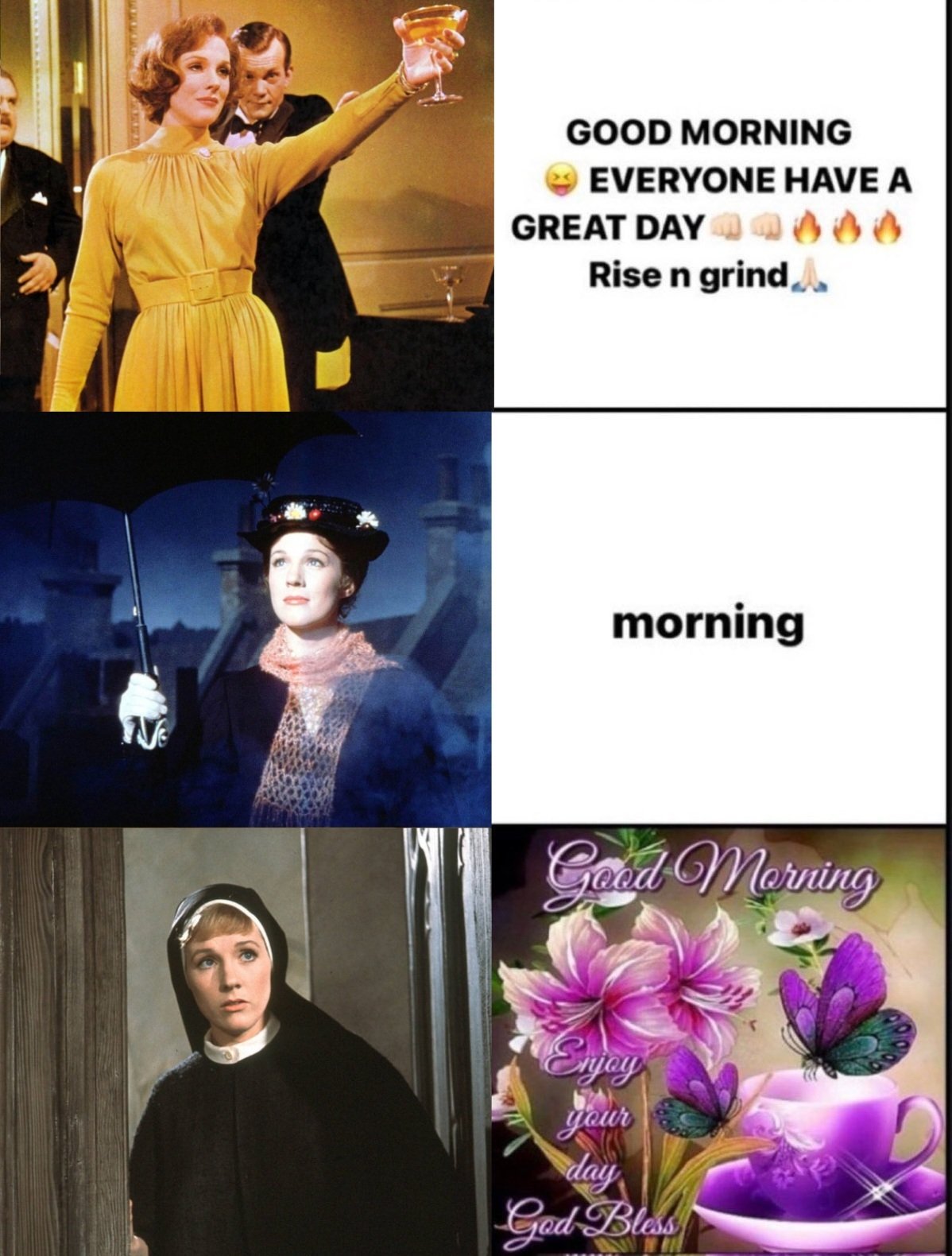 Julie Andrews Football Memes Duck: Julia Boehning The Daily Orange