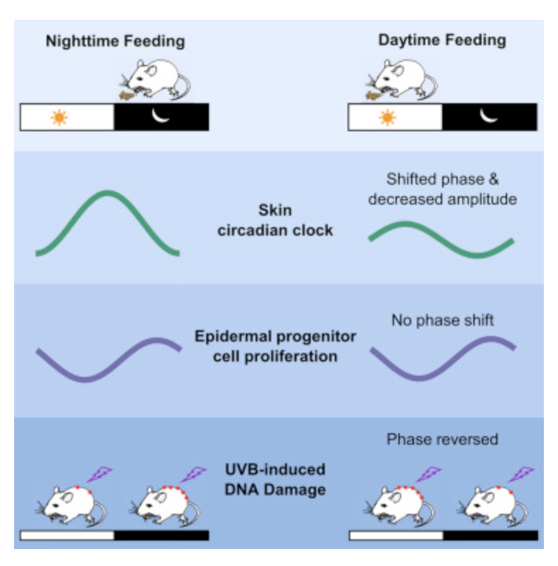 1. This thread is a teaching case for the public to help you guide on ...
