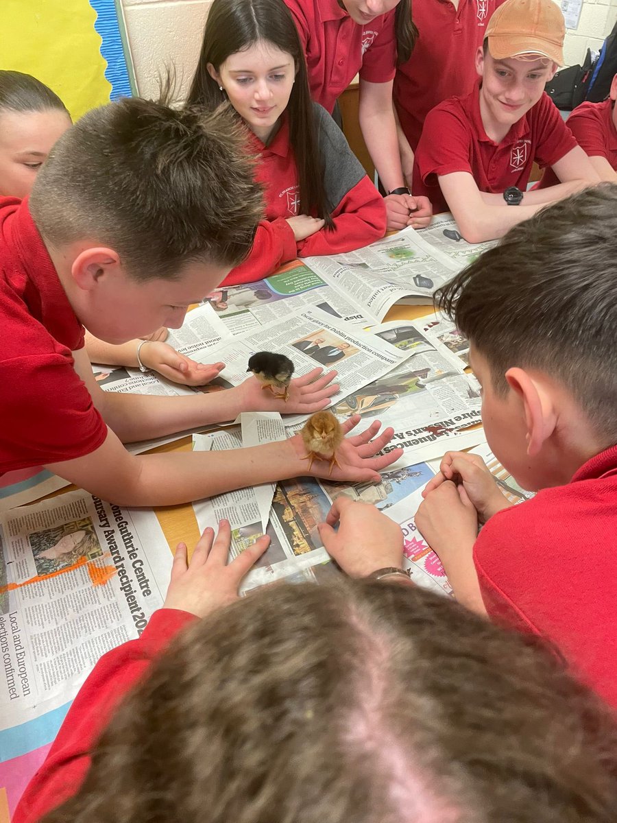 SFX Senior School – St Francis Xavier Senior School