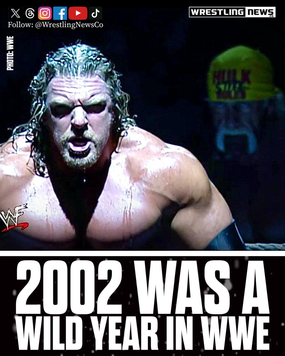 Hulk Hogan Vs Triple H