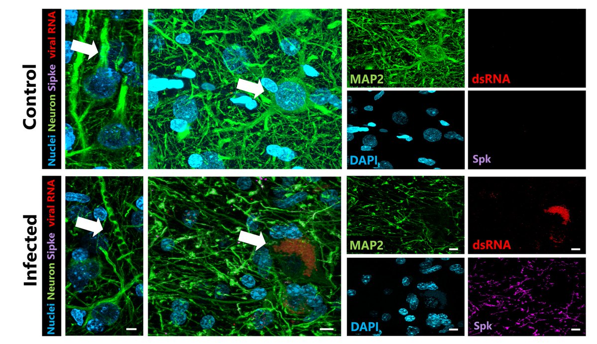 Scientists can work in a complementary way and find the same results ...
