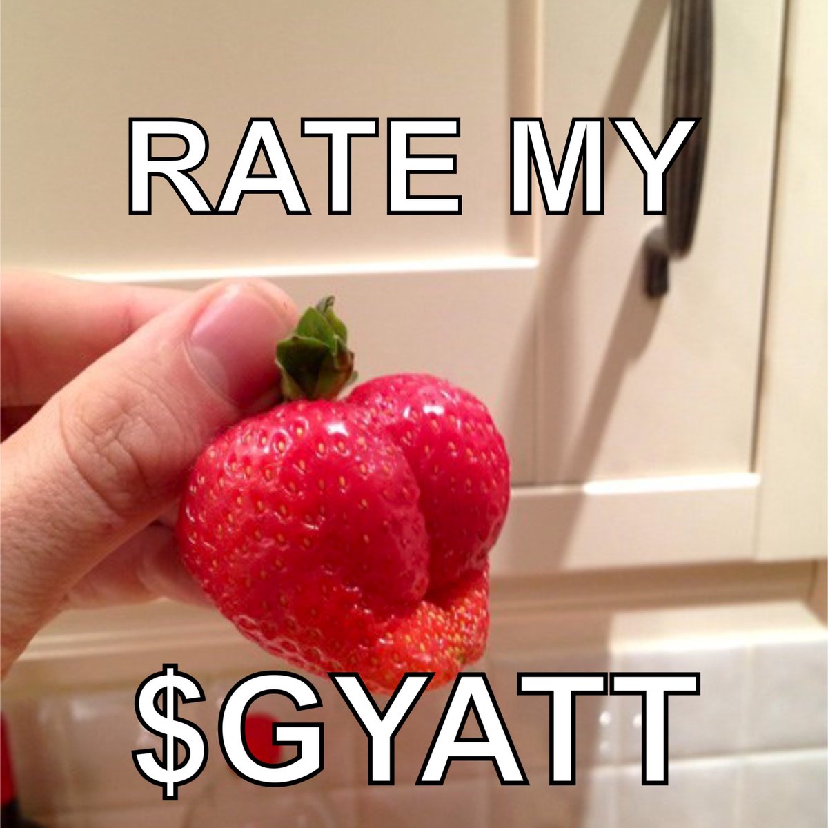 GYATT ON SOL @gyatt_on_sol - Twitter Profile | Sotwe