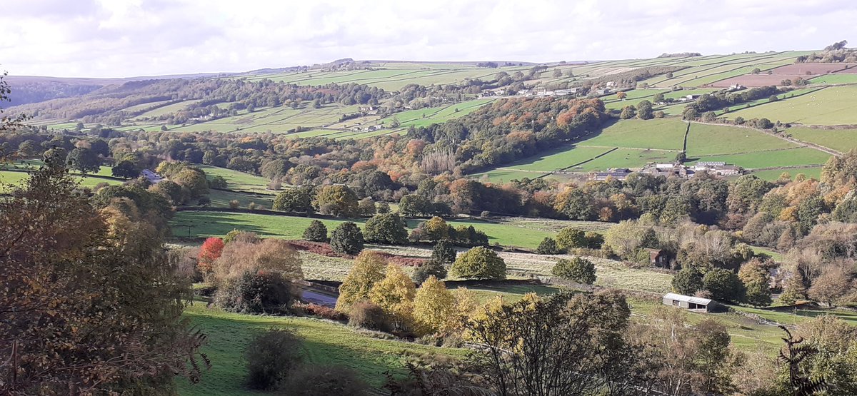 RVCG – Protecting the Rivelin Valley