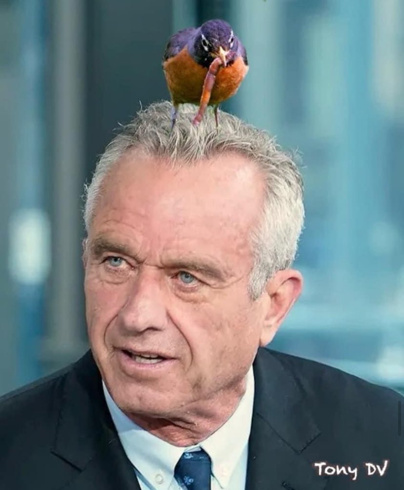 Nancy Cushman's Instagram, Twitter & Facebook on IDCrawl