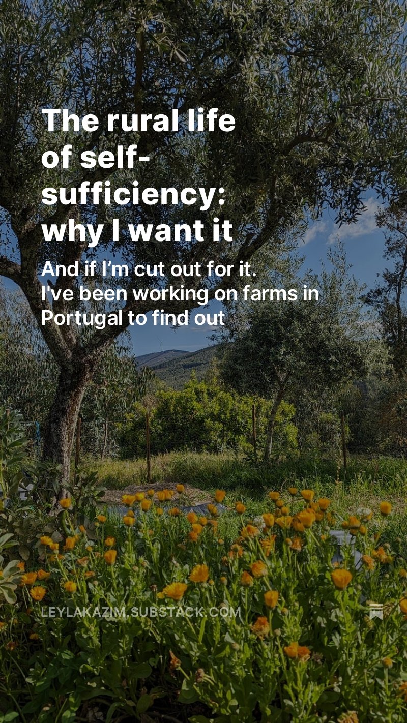 Rural Life Quotes Country Life Quotes To Inspire Little House Living