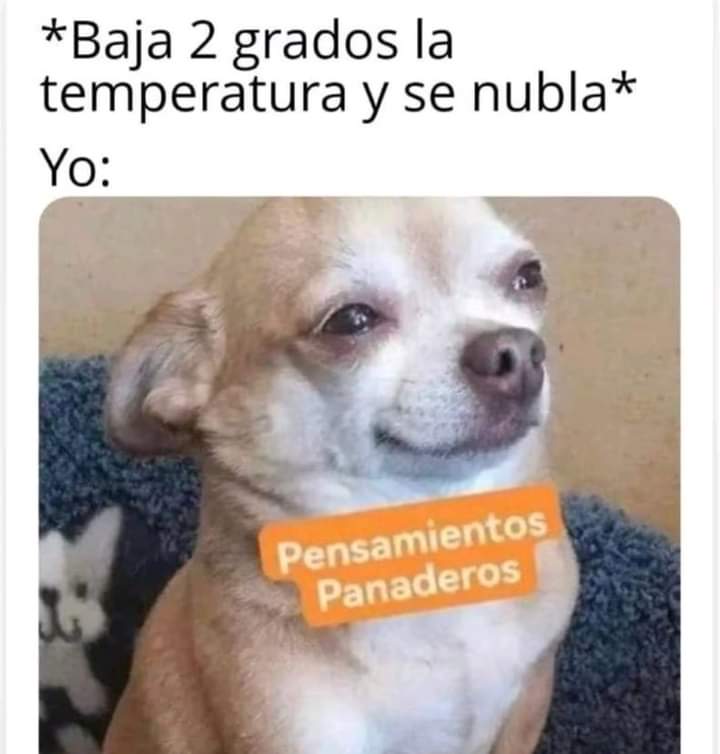 Memes Grados