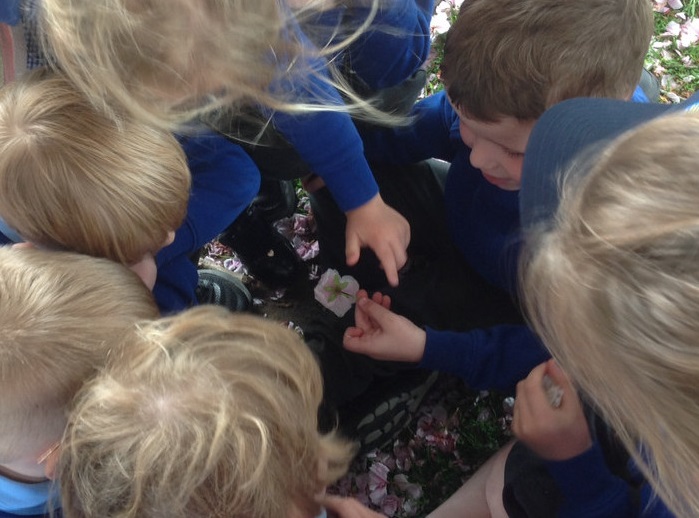 Ovingham First School