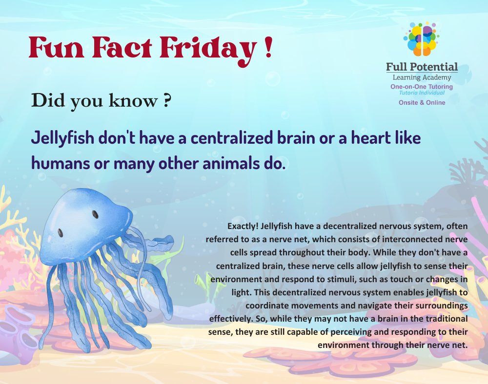 Jellyfish Facts Ks1