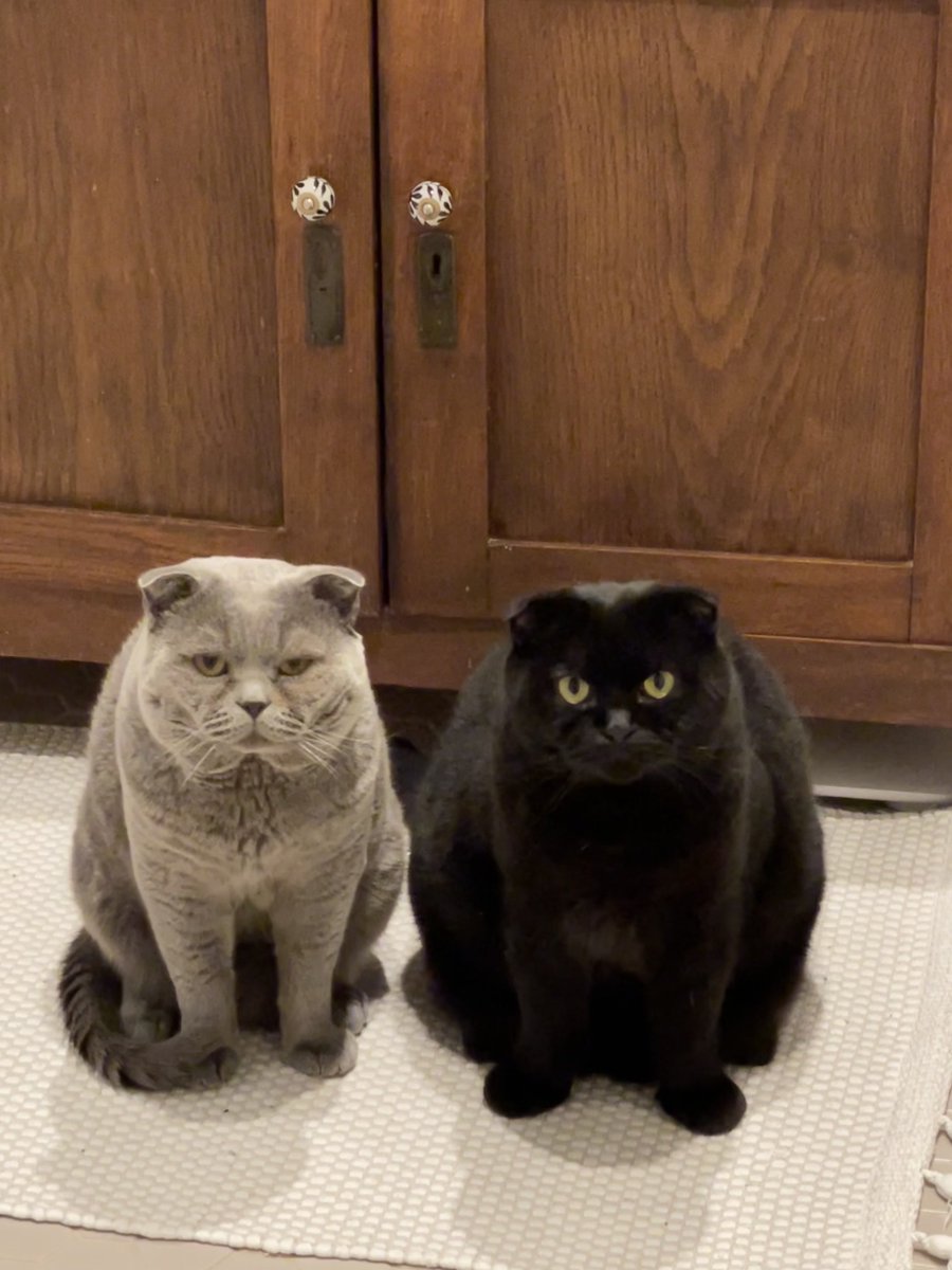 Eran Efrat's Threads – Thread Reader App